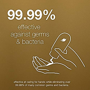 Dove Nourishing Hand Sanitizer 99.99% Effective Against Germs Shea Butter and Warm Vanilla Antibacterial Gel with 61% Alcohol and Lasting Moisturization For Up to 8 Hours, 8 Fl Oz (Pack of 4)