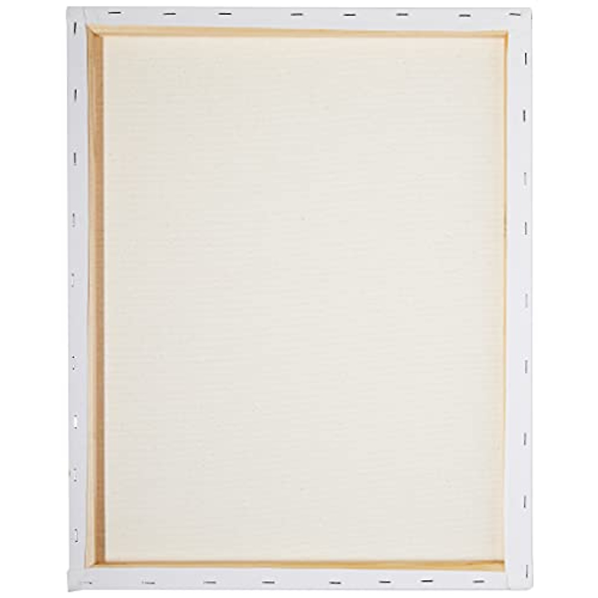 Sargent Art 16 x 20 inch Stretched Canvas, Pack of 10 Pieces, Blank White Canvases, Double Acrylic Titanium Priming, Perfect for Acrylic, Oil, and Art Projects, Acrylic Pouring & Wet Media