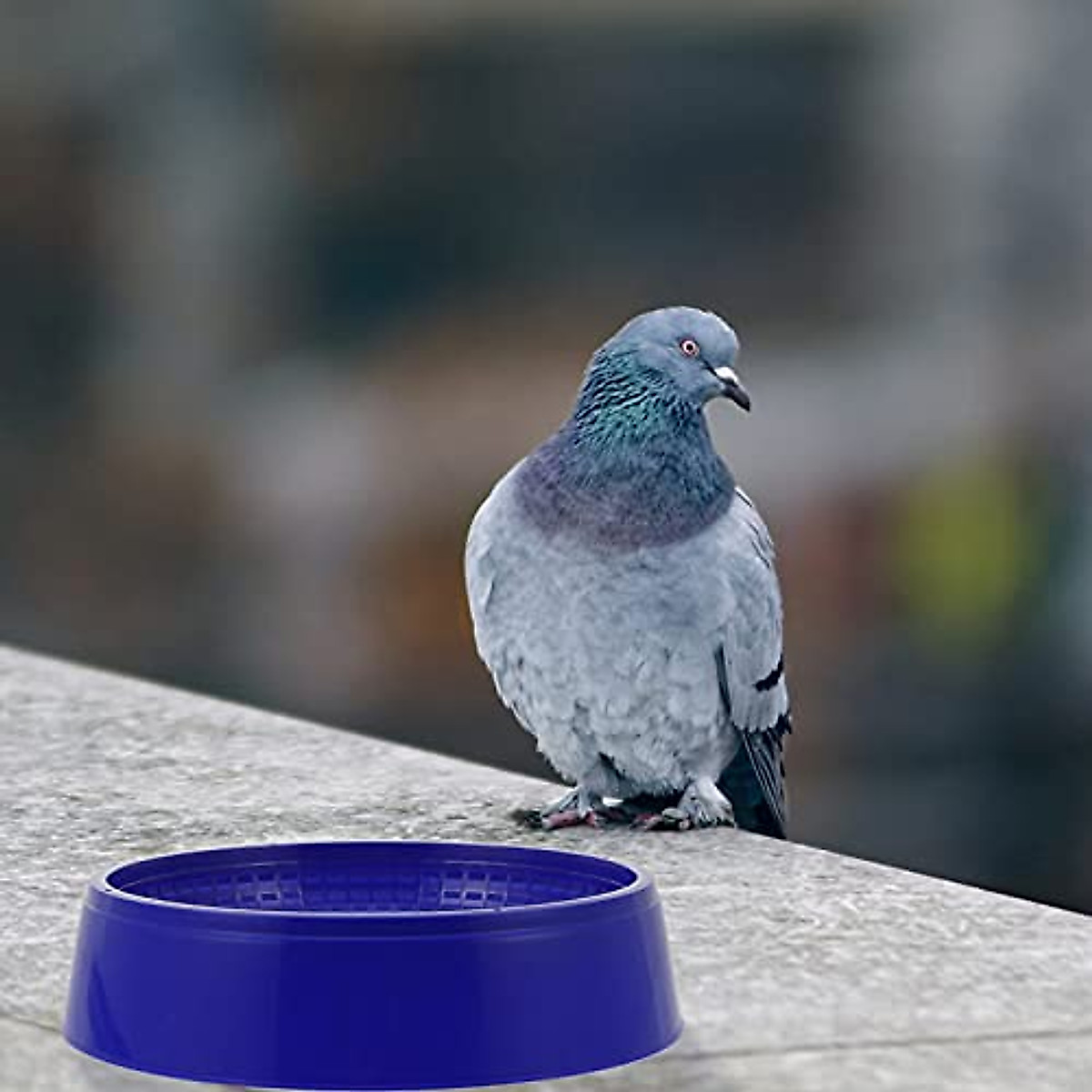 balacoo 3pcs Bird Nest Plastic Bird Hut Birdhouse Outdoor Bird Shelter House for Dove Pigeon Finch Wren Sparrow Parakeets Cockatiels Finch Canary Resting Breeding Blue