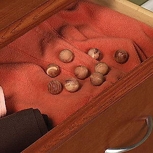 CedarFresh 17840-1 Red Cedar Wood Balls | Freshen and Protect Closets | 40-Pack