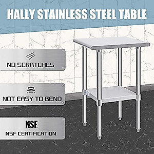 Hally Stainless Steel Table for Prep & Work 24 x 15 Inches, NSF Commercial Heavy Duty Table with Undershelf and Galvanized Legs for Restaurant, Home and Hotel