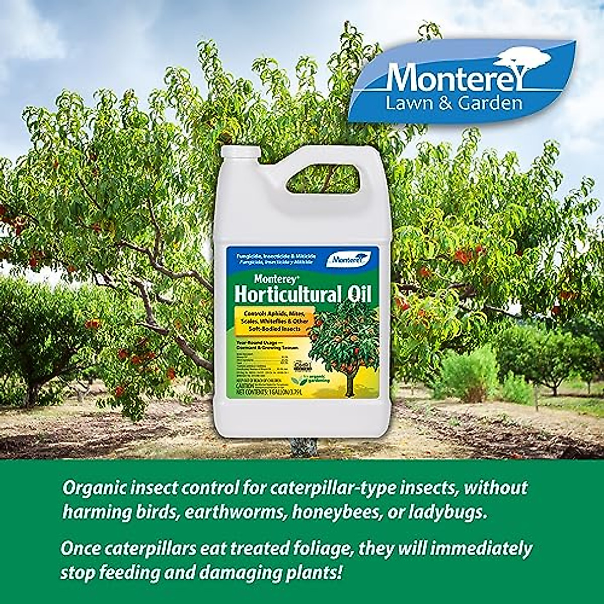 Monterey Horticultural Oil 1gal