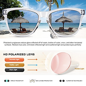 DANAMY Sunglasses Womens Polarized Sunglasses for Women Trendy Designer Mirrored Sunglasses UV400 Protection Sun Glasses