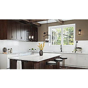 Design House 580688 Kimball Double Robe Hook, Satin Black