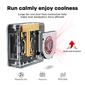 Beelink SER5 Mini PC, AMD Ryzen 5 5560U(up to 4.0GHz) 6C/12T,Mini Computer 8GB DDR4 RAM 256GB NVMe SSD,Triple Display,Wifi6/BT5.2/Gaming/Office/Home,Auto Power On