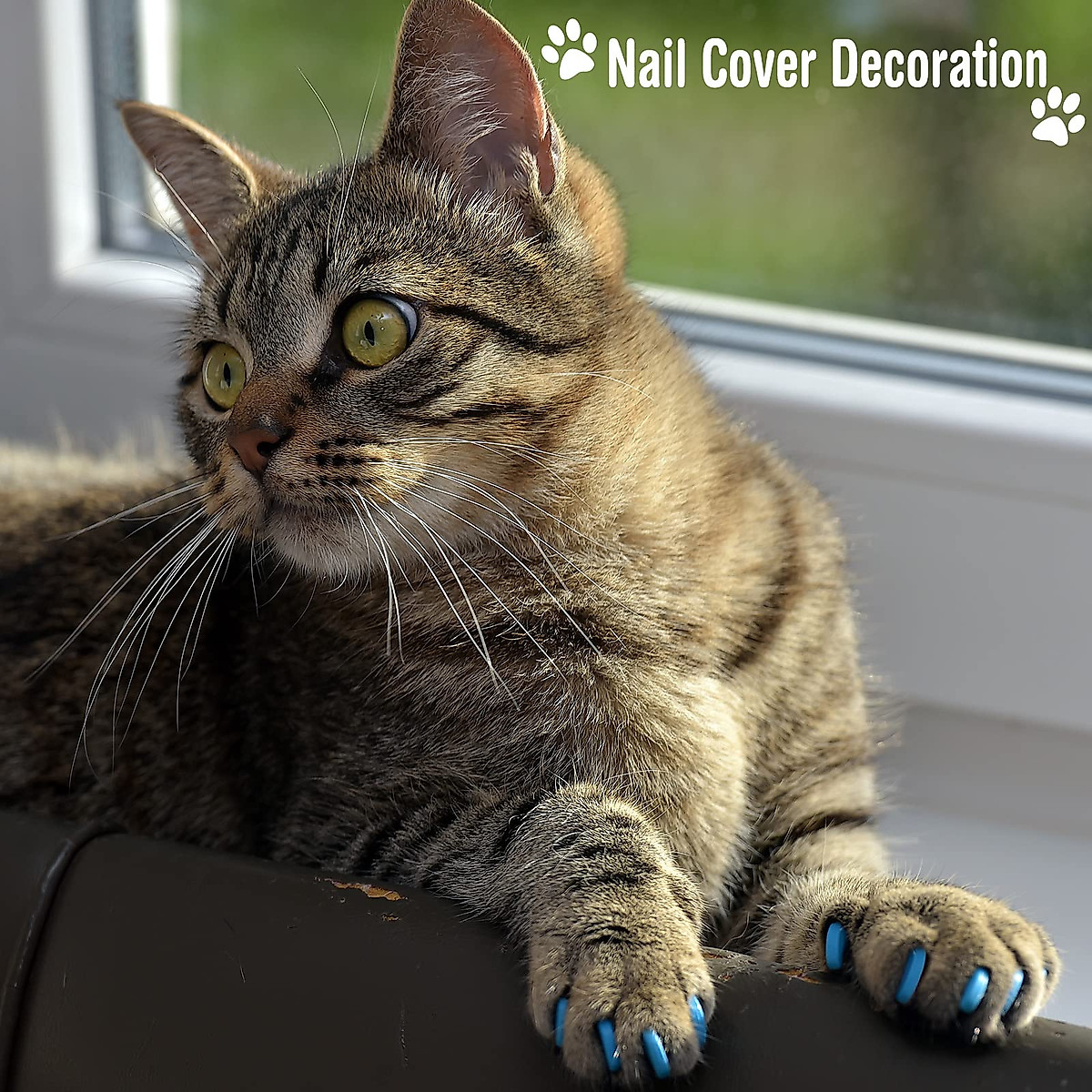 9 Pieces Cat Bathing Bag Set Cat Shower Bag Anti Bite and Anti Scratch Cat Grooming Bag for Pet Washing Brush Comb, Cat Muzzle, Nail Clipper, Nail File, Tick Tool (Blue, Turquoise)