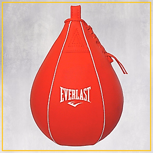 Everlast 100 LB Nevatear Heavy Bag Boxing Kit with 14 oz Pro-Style Gloves and 120 inch Hand Wraps