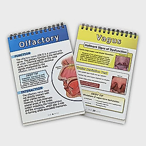 Cranial Nerves Anatomy, Testing, and Assessment - A Neurology and Medical Reference for the Clinical Professional