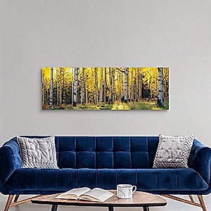 Aspen Trees in a Forest, Coconino National Forest, Arizona Canvas Wall Art Print, 60"x20"x1.25"