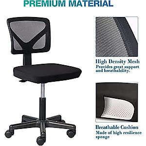 Ergonomic Home Office Desk Chair, Adjustable Armless Computer Chair with Lumbar Support, Small Mesh Task Chair with Backrest Swivel Rolling for Study, Office, Conference Room