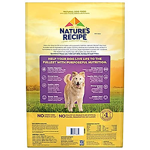 Nature’s Recipe Original Dry Dog Food for Adult Dogs, Lamb & Rice Recipe, 12 lb Bag