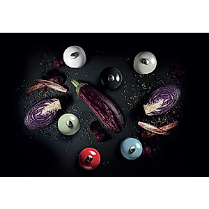 Cole & Mason H321823 Oxford Red Salt Mill | Precision+ Wooden | Premium Coloured Gloss Seasoning Mill | Wood | 155mm | Single | Includes 1 x Salt Grinder | Lifetime Mechanism Guarantee