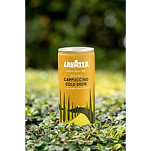 Lavazza Organic Cappuccino Cold Brew Coffee - (8 Fluid Ounce - Pack of 4)