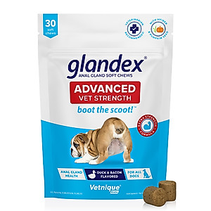 Glandex Anal Gland Soft Chew Treats with Pumpkin for Dogs Digestive Enzymes, Probiotics Fiber Supplement for Dogs Boot The Scoot (Advanced Strength Duck/Bacon Chews (Vegetarian), 30ct)