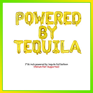 Wonmelody Margarita Birthday Party Decorations Powered by Tequila Balloon Banner Margs and Matrimony Bachelorette Decor Lemon Balloon Gimme One Magrarita Balloon Mexican Fiesta Bridal Shower Decor