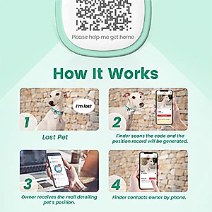 Pawaii QR Code Pet ID Tag, Silent Silicone Dog ID Tag, Modifiable Pet Online Profile, Free Online Pet Page Emergency Contact, Scan QR Receive Instant Pet Location Alert Email, 1Pack (Green)
