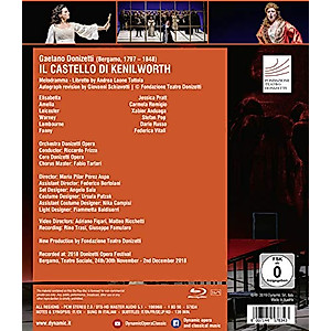 Il Castello Di Kenilworth