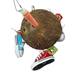 Bird Training Toys Coco Shell with Mini Sneaker Ring Chew Toy, Parrot Cage Hanging Toys for African Grey ,Cockatoo,Macaw