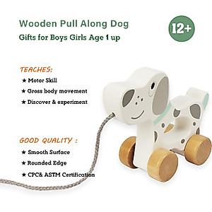 WoodenEdu Baby Toys Car,Wooden Pull Along Toddler Toy, Developmental Toy for 1 Year Old Girl Boy Birthday Gift (Dog)
