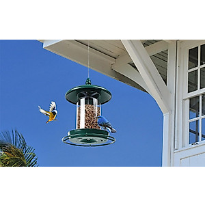 Bird Feeder for Outdoors, Small Bird Feeder, Holds 1.50LB Seeds, Suitable for Small Seed Grains, Metal Bird Feeder for Outdoors Hanging