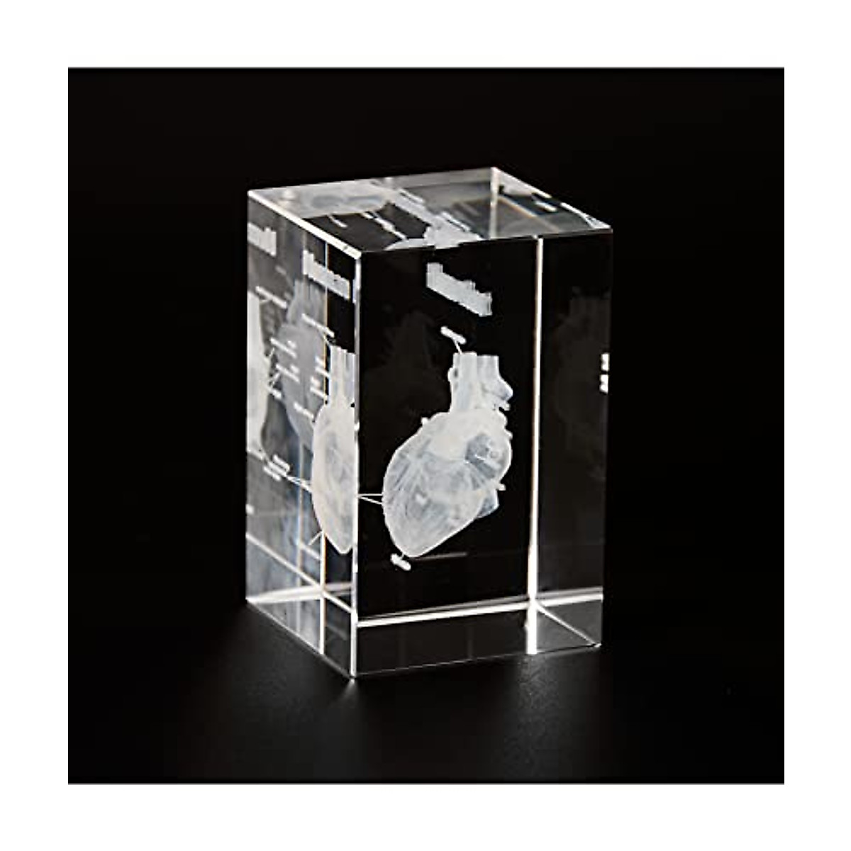 Ultrassist 3D Human Heart Crystal Model, Laser Etched Anatomical Model for Home and Office Decoration, Cardiology Gifts