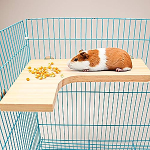 2 Pieces Hamster Wooden Platform Set, L-Shaped Pedal Wooden Platform & L-Shaped Round Hole Wooden Platform with 8 Piece Sepak Takraw Chew Toys, Gerbil Chinchilla Guinea Pigs Parrot Stand Perch (H01)