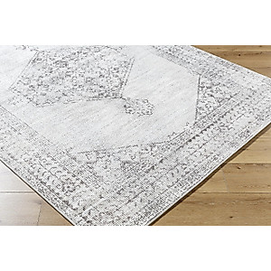 Livabliss x Our PNW Home Olympic Updated Traditional Area Rug, 9'2" x 12', Off-White