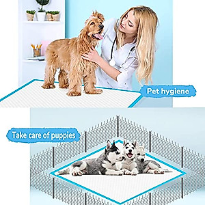 JOINPADS Dog Pee Pad, Puppy Potty Training Pet Pads Dog Pads Extra Large Disposable Super Absorbent & Leak-Free Pee Pads 28"x34"