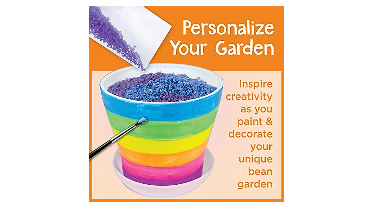 Grow Your Imagination with Magic Bean Garden Kit