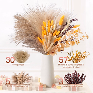 HUMINBO Fall Decor Autumn Decorations for Home Thanksgiving Table Boho Flowers Orange Pampas Grass Fluffy Dried Flower Bouquet Dry Pompas 17"-95-Pcs Pompous (Orange)