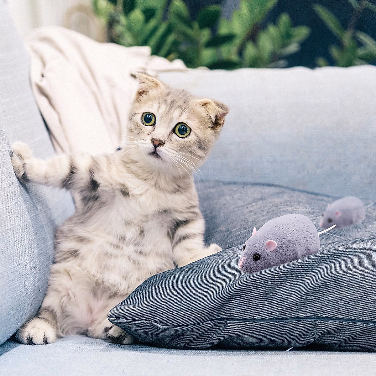 STOBOK 1set Remote Control Mouse Model Remote Control Toy Chew Toys Toy Rc Toy Rc Pets Cat Toy Cat Teasing Toy Cat Playing Toys Realistic Mouse Toy Electronic Component