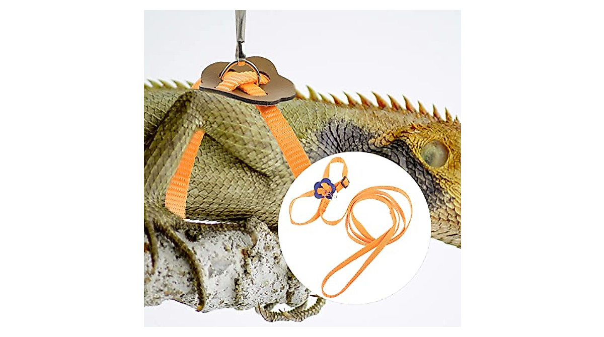 Adjustable Lizard Harness & Leash - Comfort & Style