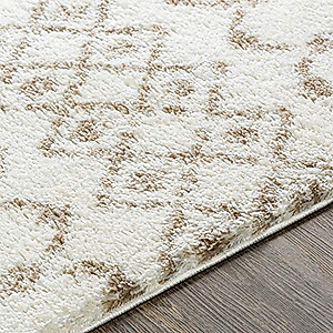 Livabliss Anita Bohemian Shag Area Rug,7'10" x 10',Beige