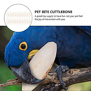 ULTNICE Natural Bird Cuttlebone Pet Chewing Cuttlefish Bone Birds Calcium Bone for Reptiles Tortoises Snails Small Animals ( 20pcs )