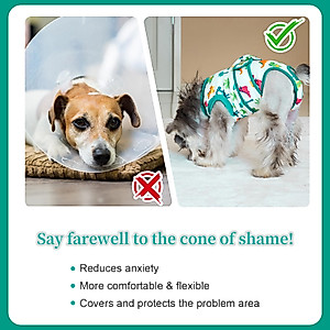 V.PET.B.R Dog Surgery Recovery Suit,Female Male Dog Onesie for Spay Neuter,Substitute E-Collar & Cone,Anti-Licking Breathable Onesie for Small Medium Large Dogs,Dinosaur S