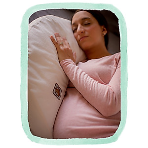 The Nesting Pillow- Organic Nursing Pillow with Washable Slipcover (Paloma)