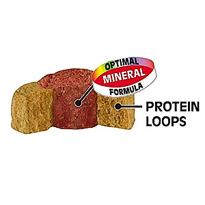 sera 1822 reptile Professional Carnivore