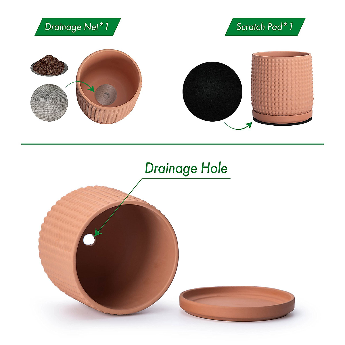 D'vine Dev 6 Inch Terracotta Beaded Planter Pot - Flower Pot with Drainage Hole and Saucer for Indoor Succulent Plants or Flowers, Terracotta, 27-C-X-7