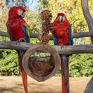 Ipetboom Hammock Birdcage Toys Parrot Hut Bird Hanging Nest Parakeet Bed Parrot Bed Bird Bed Parrot Supply Bird Supply Bird House Bird Swing Hanging Bird Nest Hamster Wooden Bird's Nest