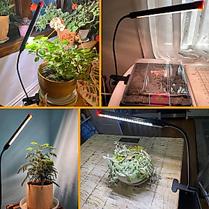 JINHONGTO 2024 Upgraded Plant Light, 1000 Lumen Clip On Grow Light 1-Head with 4/8/12H Timer Function, Grow Lights for Indoor Plants Full Spectrum, Bright Plant Growing Lamp with 42PCS White Red LEDs