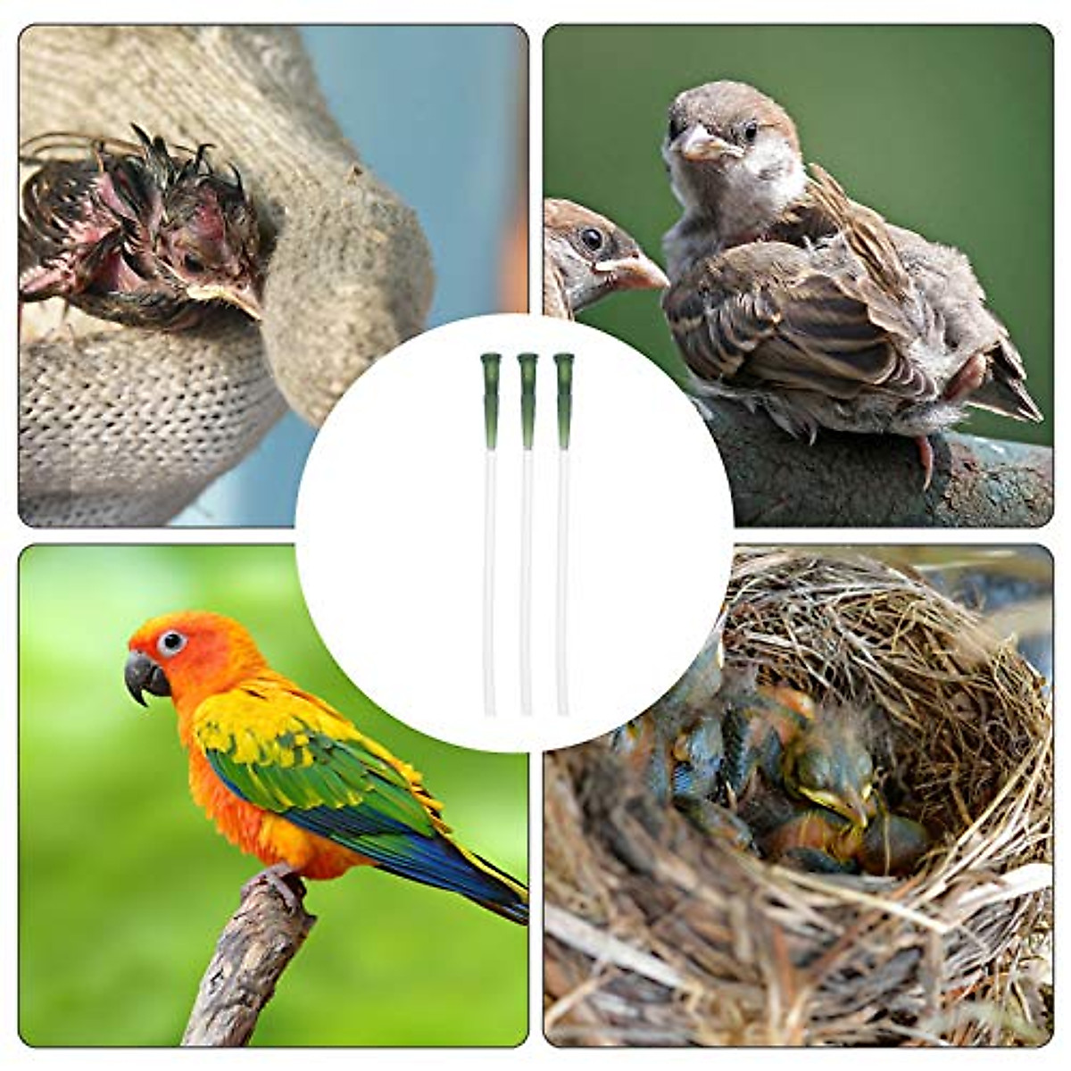 POPETPOP 3pcs Young Birds Feeding Syringe Plastic and Perspex Material for Feeding Milk for Young Birds or Feeding Medicine for Sick Birds