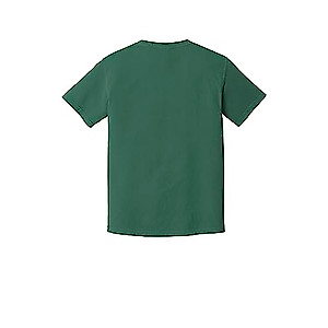Comfort Colors by Chouinard Adult Ring-Spun Tee (Light Green) (XL)
