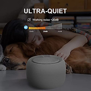 Cat Water Fountain, 84oz/2.5L Pet Water Fountain for Cats Inside, Ultra Quiet Automatic Cat Water Dispenser, Silent Pump with Dry-Run Protection, Dual Mode for Cats, Small Dogs