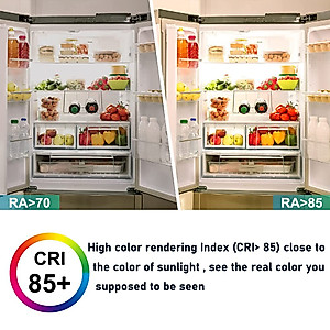 2-Pack 4W LED Bulb for Cosmetic Vanity Makeup Mirror with Single Double Sided Lighted Magnification 120V Mirror Replacement Bulbs 40W Equivalent Daylight White 6000K