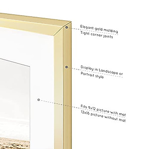 Homeforia - 12x16 inch Metal Picture Frame - 12 x 16 Aluminum Photo Frames - 12x9 Mat - Tempered Glass - Wall Hook Included - Set of 1 - Gold