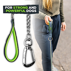 Mighty Paw Chain Dog Leash - Anti Bite Pet Lead - Stainless Steel Links - Reflective Padded Handle - Carabiner Clip - Chew Proof for Strong Dogs - 4’ Dog Walking Chain Leash - Leash Metal (Grey/Green)