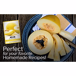 Yellow Canary Melon Seeds for Planting Heirloom, Non-GMO Vegetable Variety- 2 Grams Seed Great for Summer Melon Gardens by Gardeners Basics