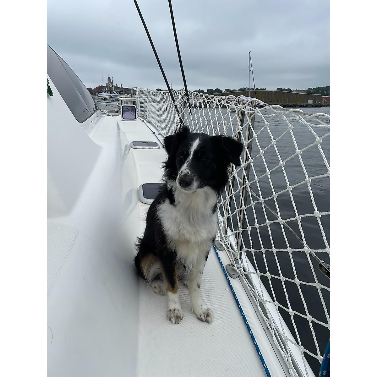 Salty Reef Marine Hardware - Safety Boat Lifeline Netting (20)