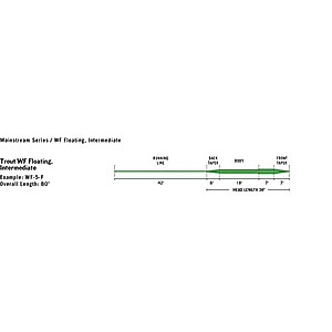 RIO Products Fly Line Mainstream Aqualux Intermediumiate Wf4I, Clear