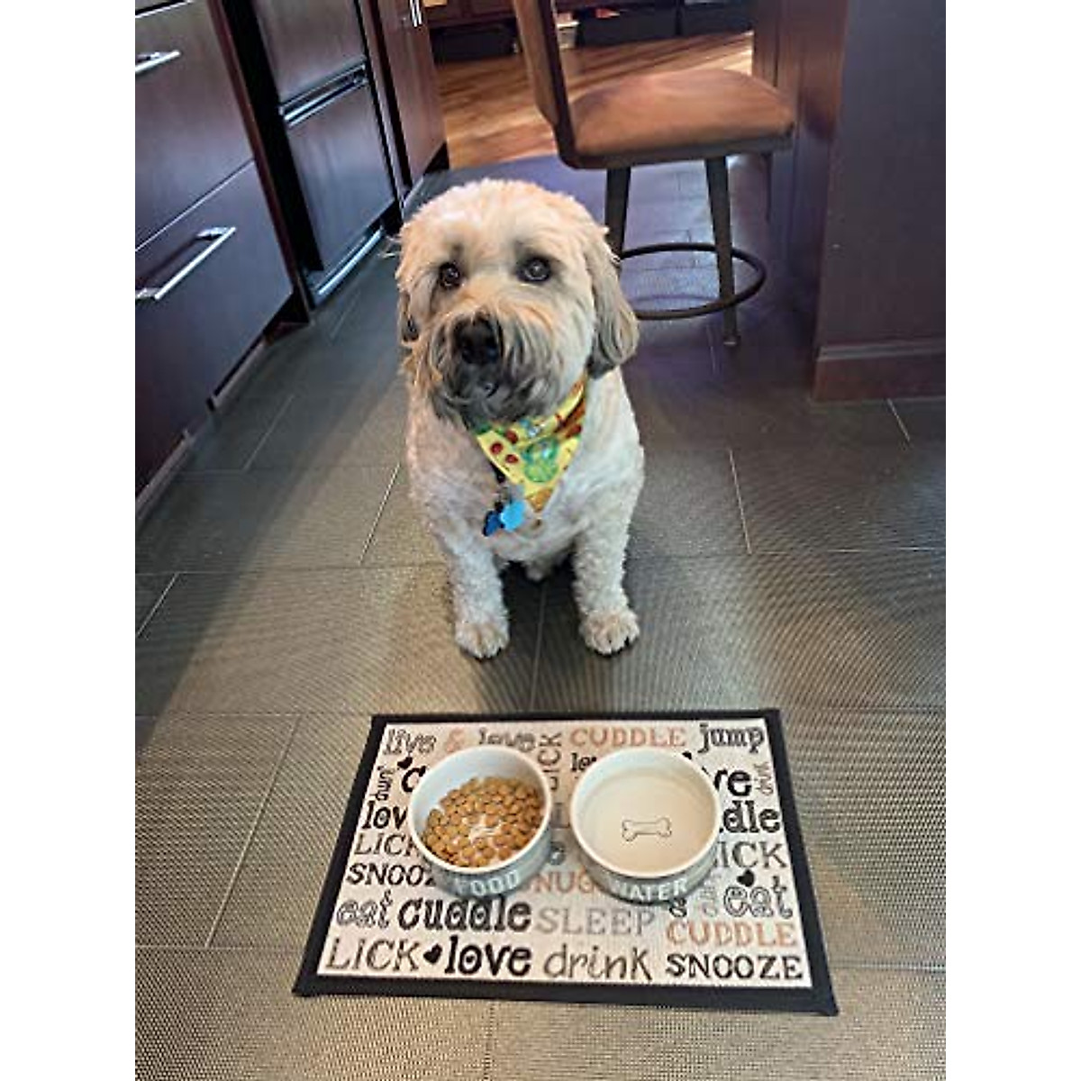 PetRageous 10218 Cuddles Tapestry Dog and Cat Non-Skid Machine Washable Placemat for Pet Feeding Areas with Rubber Backing 13-Inch by 19-Inch for Dogs and Cats, Multi-Colored, Off-White